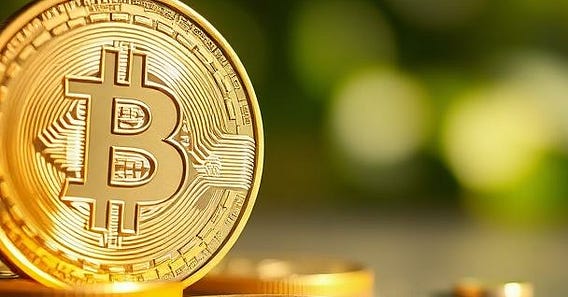 Trung Phan's Blog | Substack