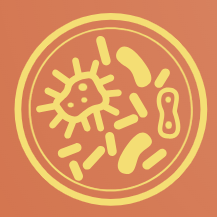 Curative - Rethinking Cancer Care | Daniel Flora, MD, PharmD | Substack