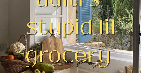 aditi's stupid lil grocery list | aditi🍯 | Substack