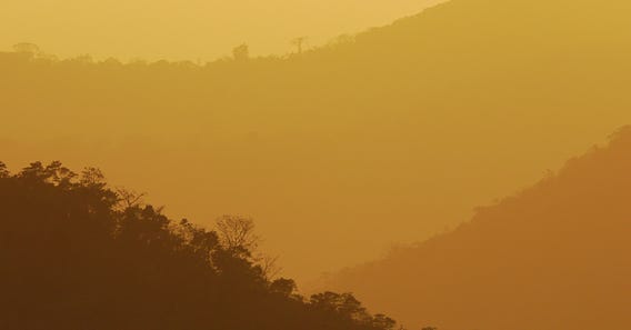 The Predators versus The People | Mees Baaijen | Substack