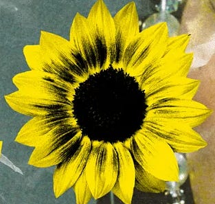 Lorem’s Substack | Lorem & Friends | Substack