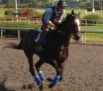 Andy Harrington's weekly report | Andrew Harrington | Substack