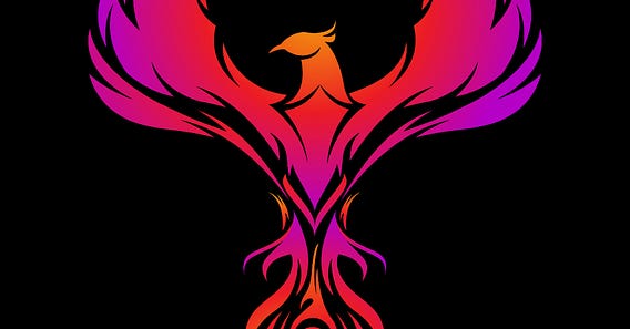 Phoenix Learning Hedge Funds | Substack