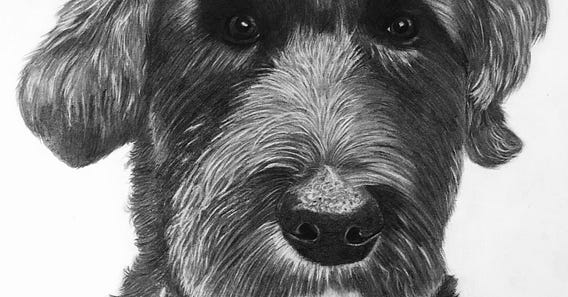 Marc’s Substack | Marc Elias | Substack