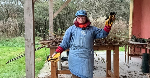 Common Farm Flowers by Georgie Newbery | Substack