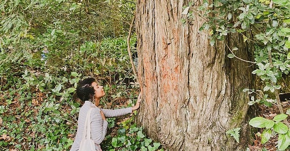 T E M P L O | Has López | Substack