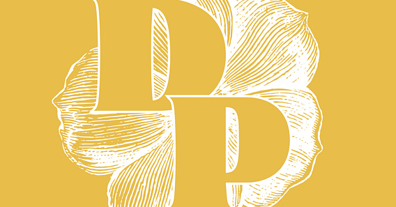 Desert Prose | Katy Gillett | Substack