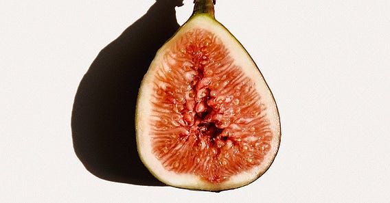 from the fig tree | katerina | Substack