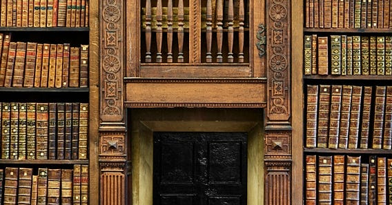 Long Library | Peter Raleigh | Substack