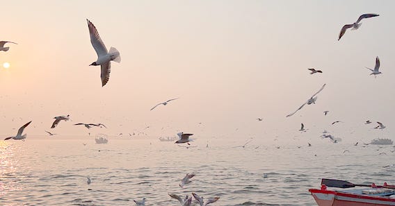 Sevenfold Christian | Kate Moorehead Carroll | Substack