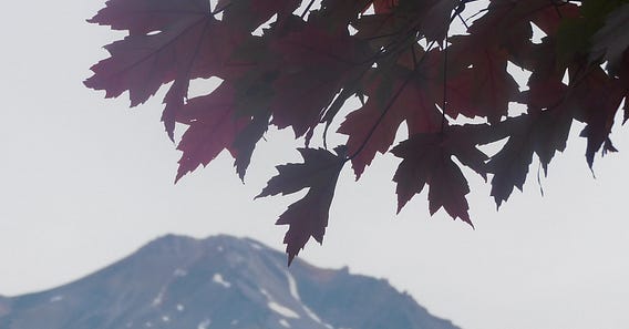 Vagabond Dreams | Paul Belz | Substack