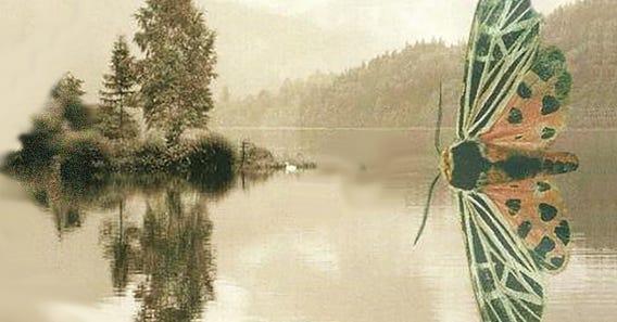 Peter D'Adamo: Generativity | Substack