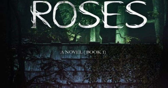 Vanessa’s Substack - Author | Vanessa M Chattman | Substack