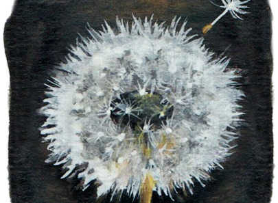 Dandelion Seeds: Illustrated Essays | Candace Rose Rardon | Substack
