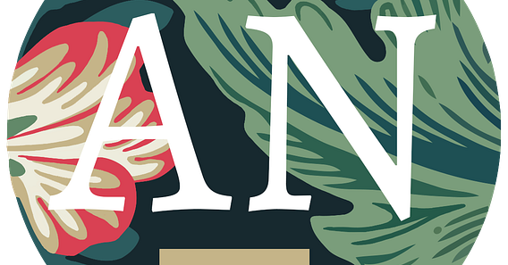 Angela Nagle's Newsletter | Substack