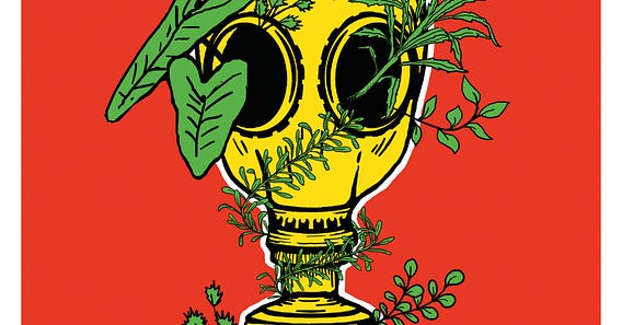 Jornal do Veneno | Juliana Gomes | Substack