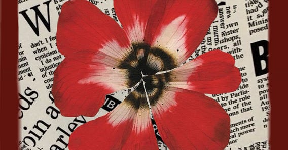 a girl's digital respite | Anaïs Laure | Substack