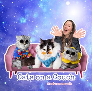 Cats on a Couch by Amanda McGonigle | Substack