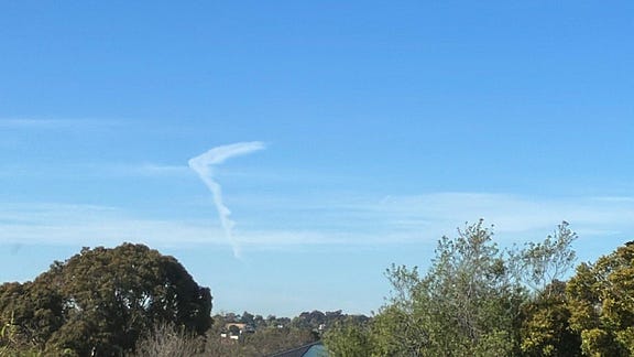 Snuffles’s Newsletter | Snuffles Nose | Substack