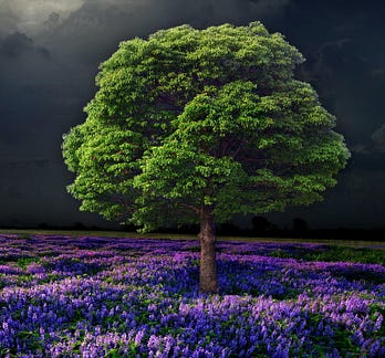 Ray’s Newsletter | Ray Shermer | Substack