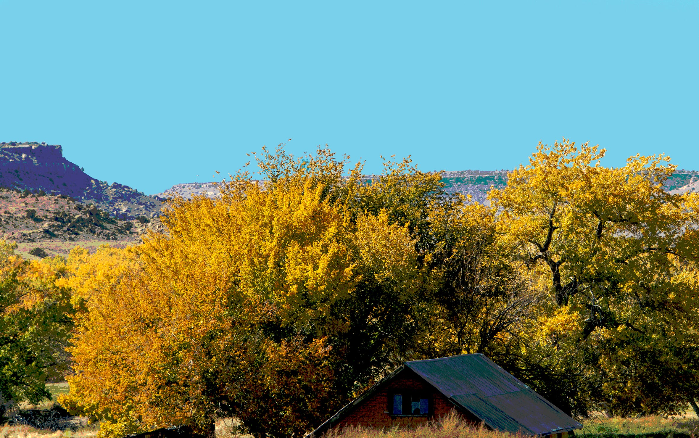 Foto Friday - by Jonathan P. Thompson - The Land Desk