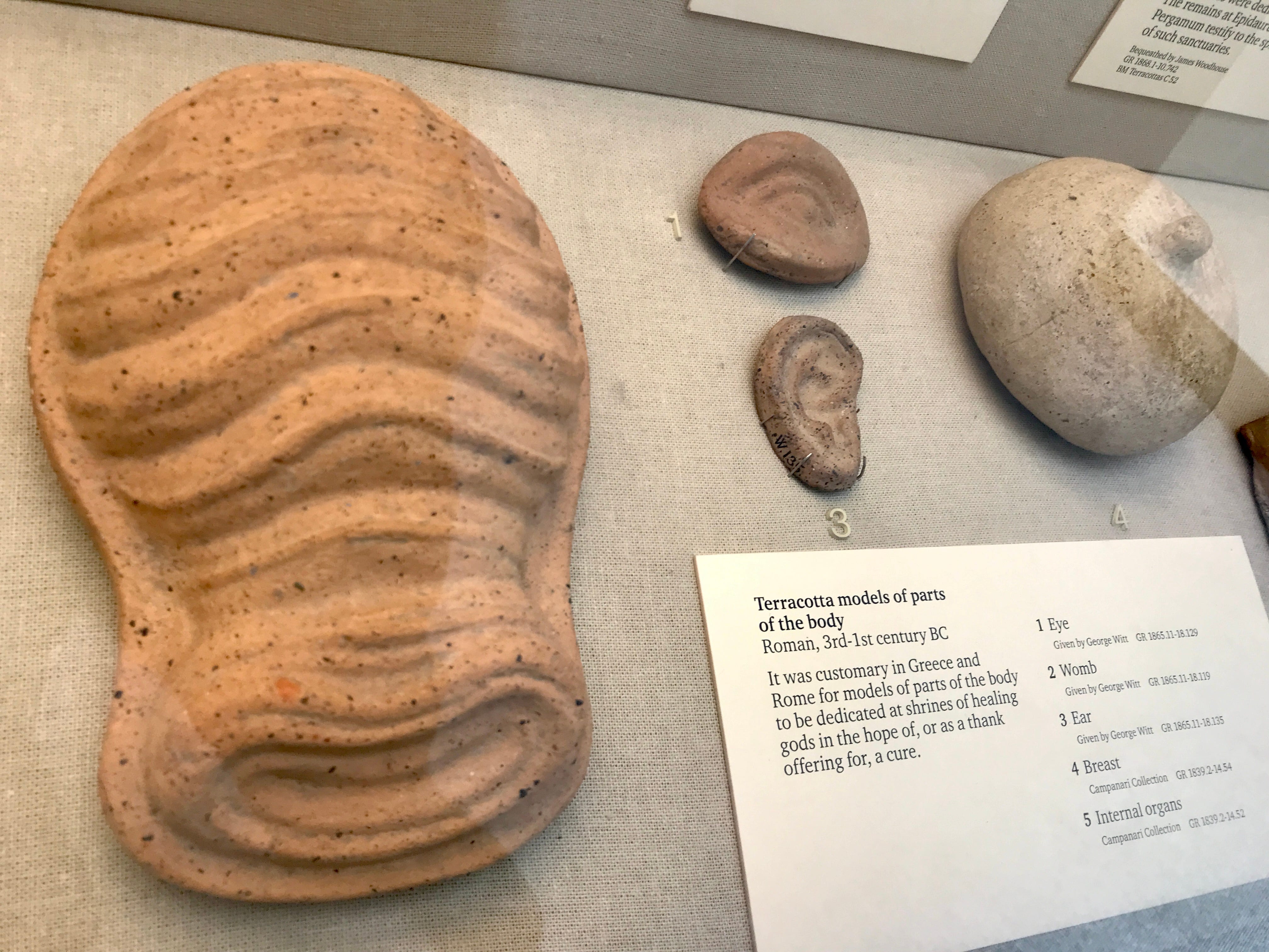 “Many Parts Yet One Body”: How Paul Subverted a Familiar Metaphor