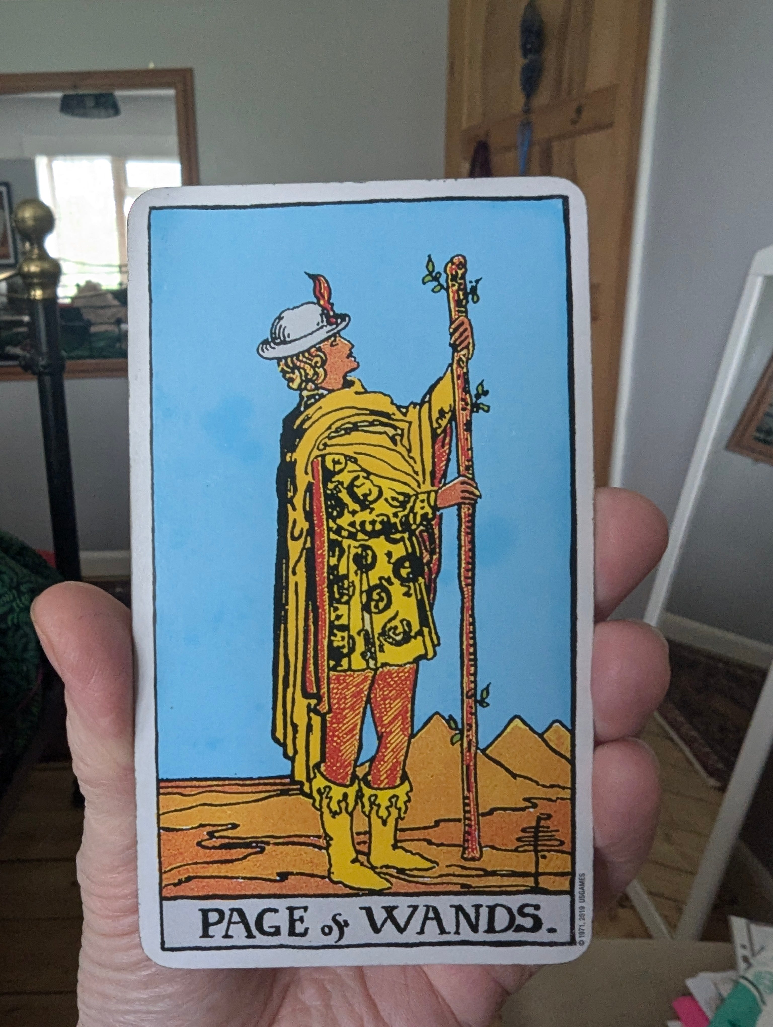 Page of Wands is this week's Focus card