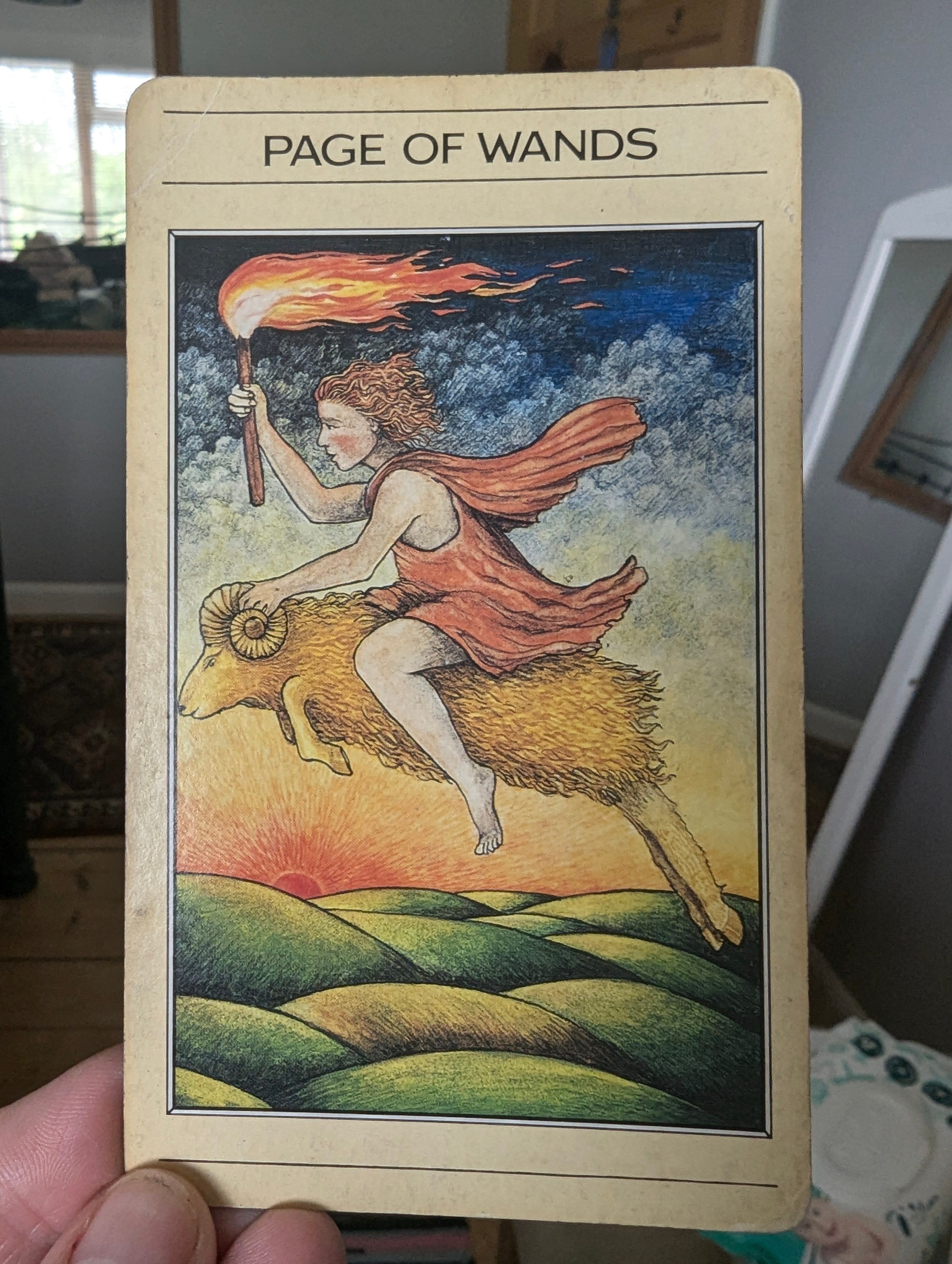 Page of Wands is this week's Focus card