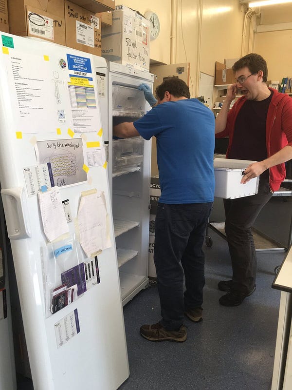 Gassing the Miracle Machine - Not Boring by Packy McCormick