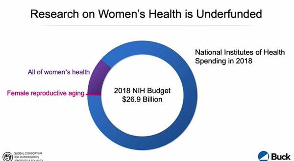 Gassing the Miracle Machine - Not Boring by Packy McCormick