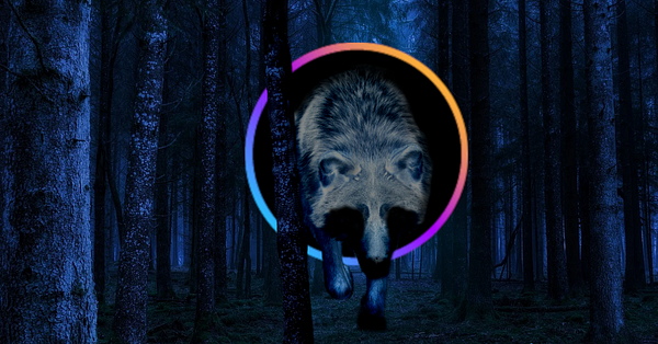 Connext Weekly #23 - Connext Weekly