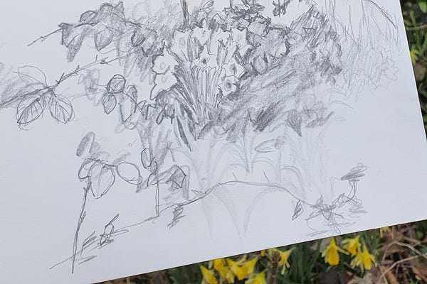 An Artist in Her Flow Substack | Susan Mills | Substack