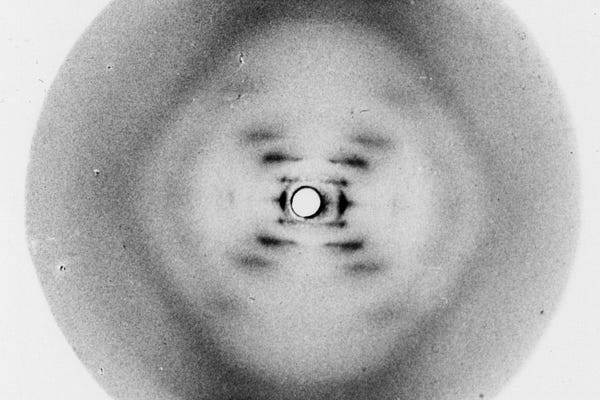Punctuated Equilibrium | Adam Rutherford | Substack
