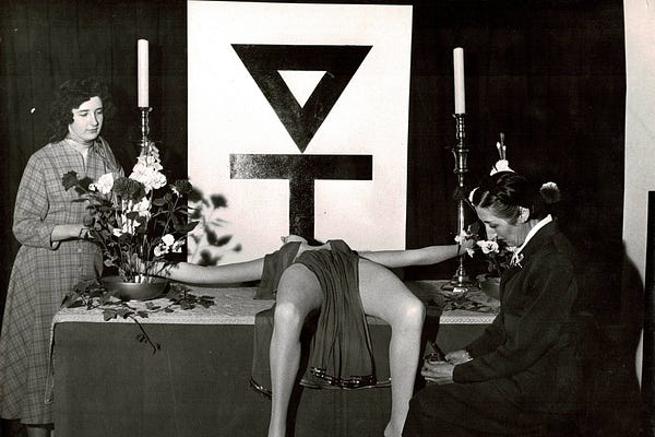 The Adder in the Churchyard Wall | Peter Grey | Substack