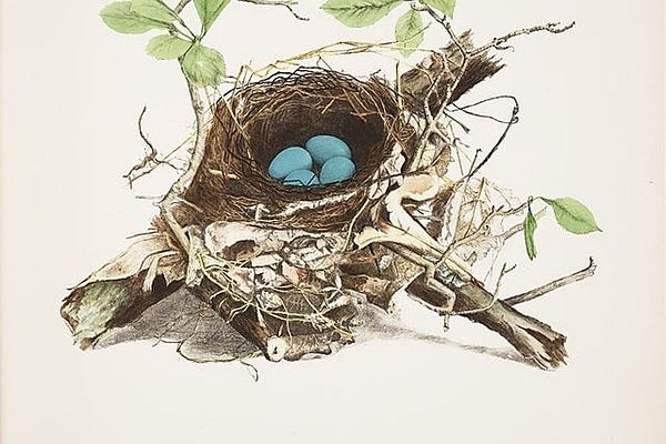 olivet poetry | Ollie Burgess | Substack