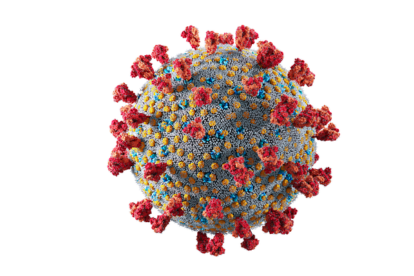 Rational Optimist Society | Substack