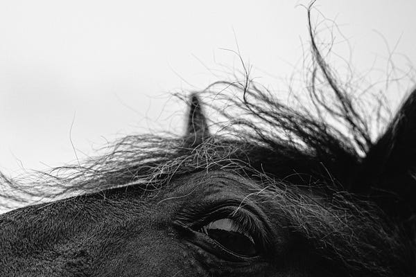 Omnipresence: The Created and the Perverted | Almer Alice He | Substack