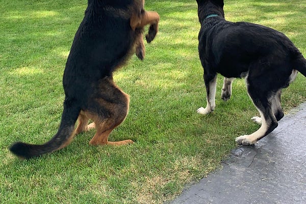 J.F. Riordan; Reflections on a Life in Exile | J. F. Riordan | Substack