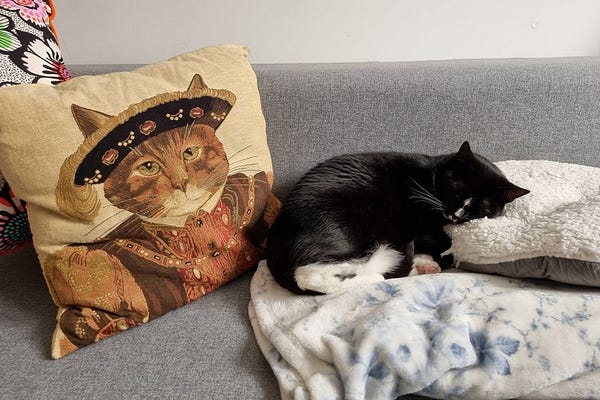 A Chronicle of Dragons & Cats | Nathen Amin | Substack