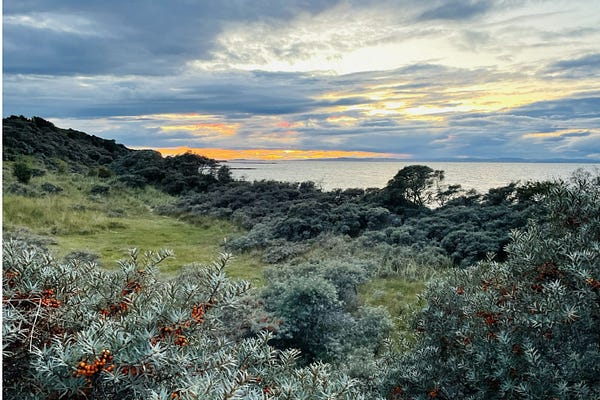 Audacious Women, Creative Lives | Anne Boyd | Substack