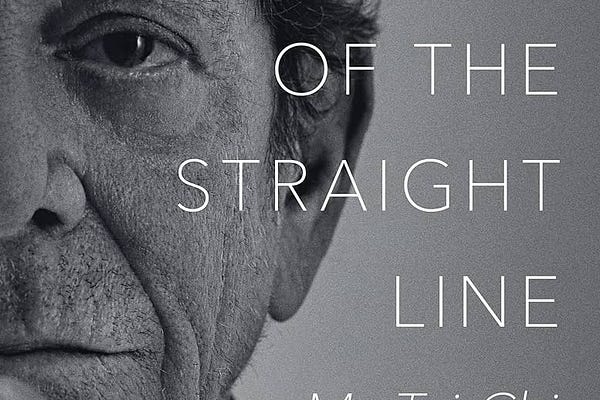 jaguatirica de coleira | Camila von Holdefer | Substack