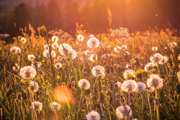 Unraveling ~This Life | This Life With July & Jamie | Substack