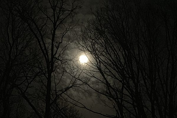 Caro’s Writing Perspectives | Caro Henry | Substack