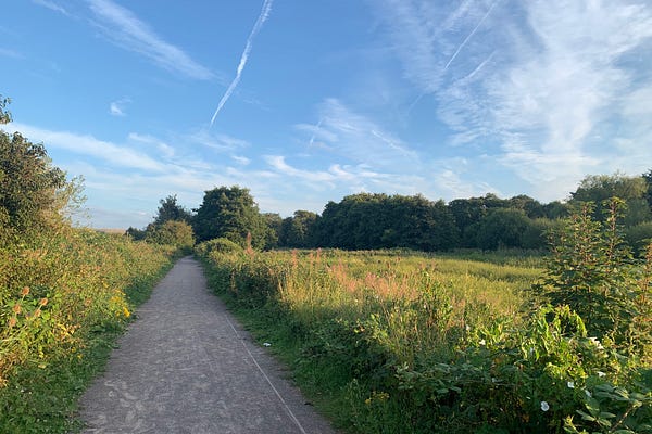 A Little Fantastic | Ellie Nova | Substack