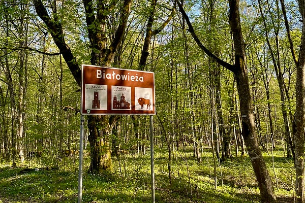 Maurice's Travel Blog | Maurice Moore | Substack