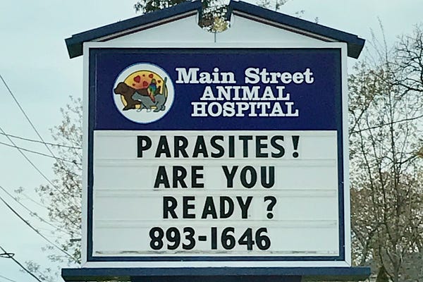 Living Elsewhere | Gregory Garretson | Substack