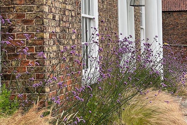 Joie De Vivre | Lisa Dawson | Substack