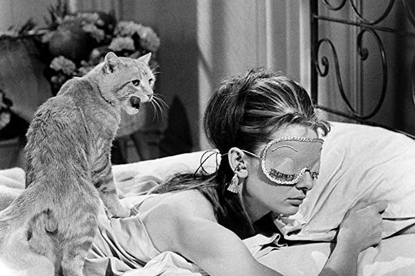 Bring Me Letters | Bress Laurie | Substack