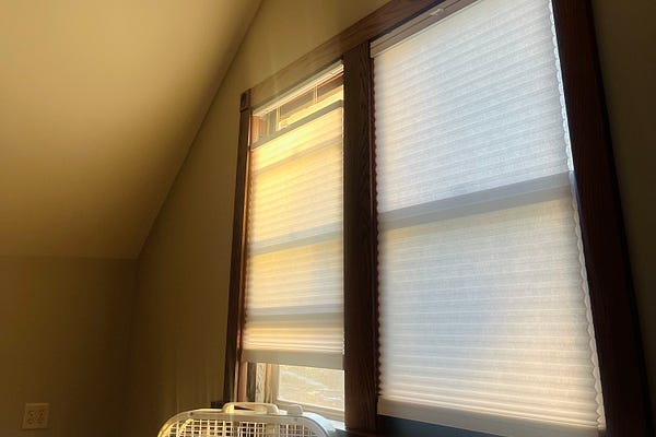 Juliebeans | Julie Beans | Substack