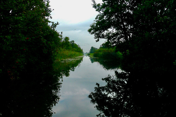 The Predators versus The People | Mees Baaijen | Substack